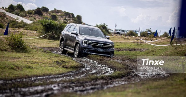 Những hiểu biết cần có về dung dịch AdBlue trước khi quyết định xuống ...