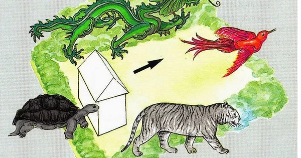 Long Mạch Là Gì? 3 Cách Tìm Long Mạch Đất Đơn Giản Nhất